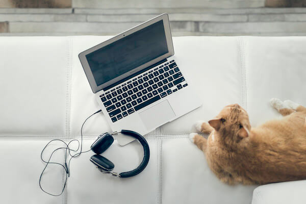 javascript wallpaper for laptop